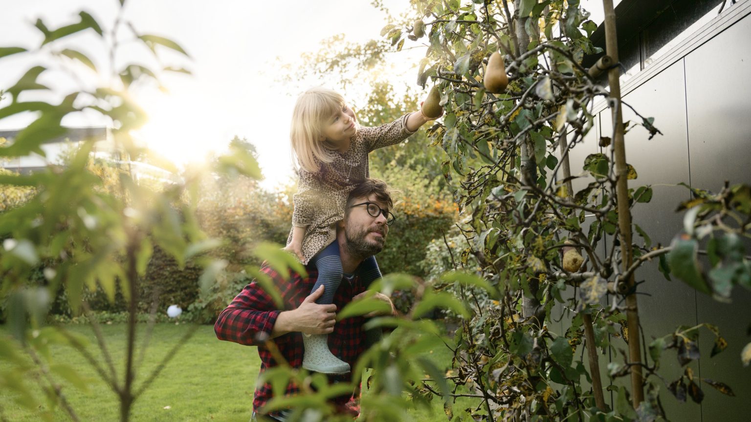 The ten longest-living creatures in the world – Swiss Life Group